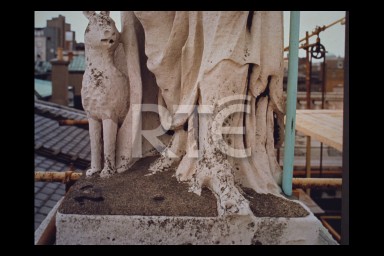 Photographic Archive - RTÉ Archives