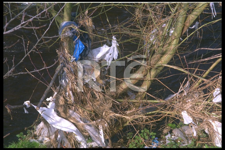 Photographic Archive - RTÉ Archives