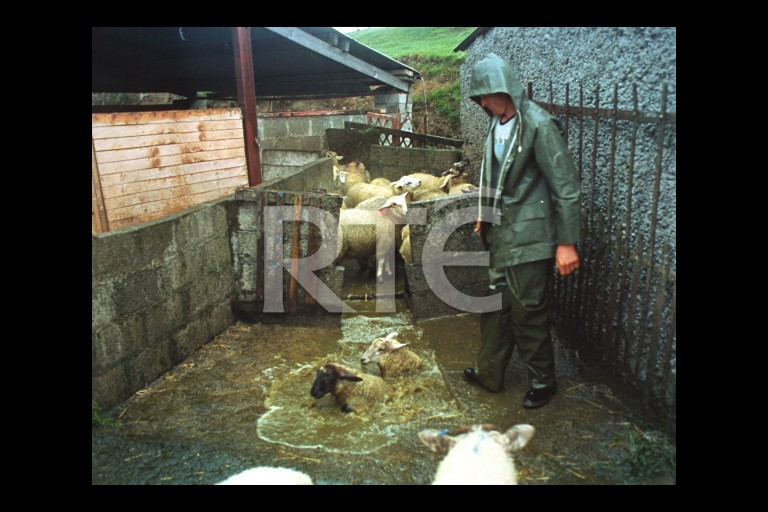 Photographic Archive - RTÉ Archives