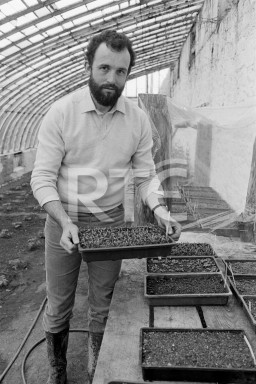 Photographic Archive - RTÉ Archives