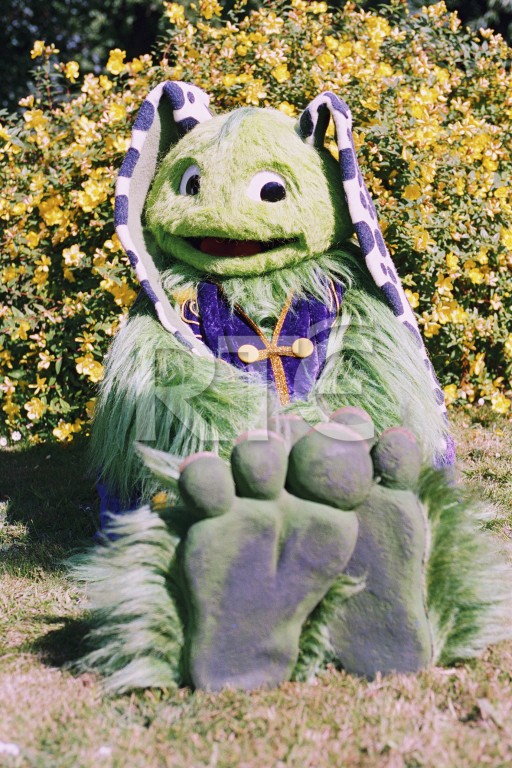 Photographic Archive - RTÉ Archives