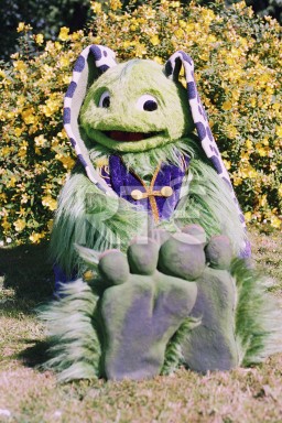 Photographic Archive - RTÉ Archives