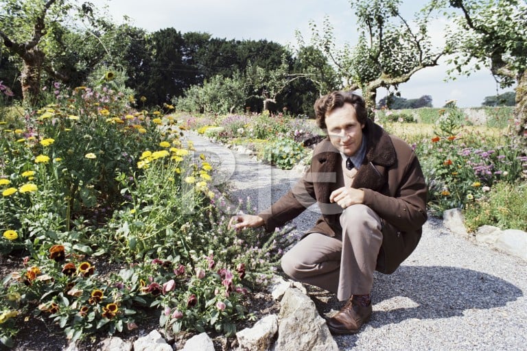 Photographic Archive - RTÉ Archives