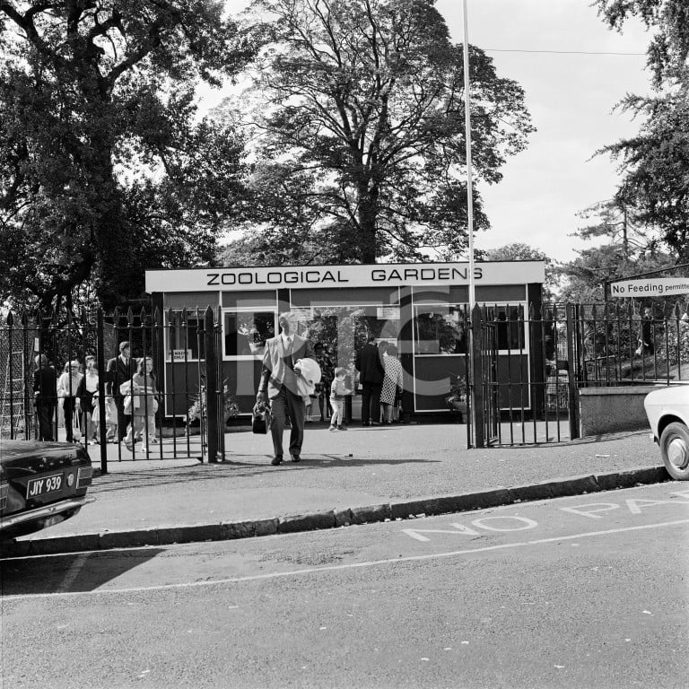 Photographic Archive - RTÉ Archives