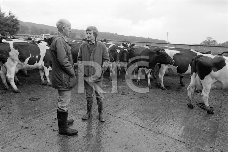 Photographic Archive - RTÉ Archives