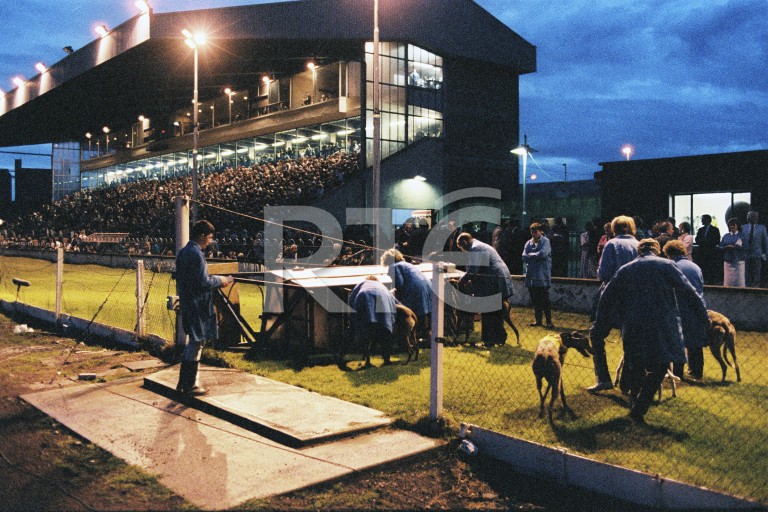 Photographic Archive - RTÉ Archives