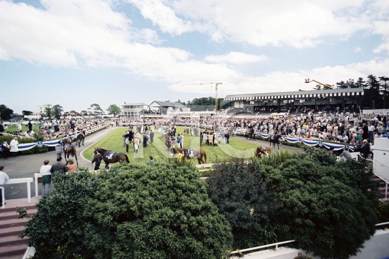 Photographic Archive - RTÉ Archives