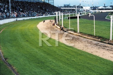 Photographic Archive - RTÉ Archives