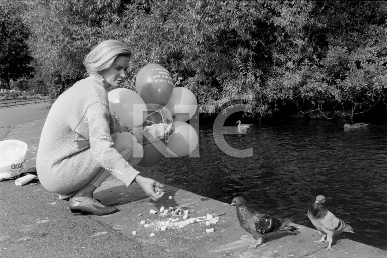 Photographic Archive - RTÉ Archives
