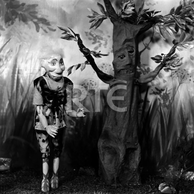 Photographic Archive - RTÉ Archives