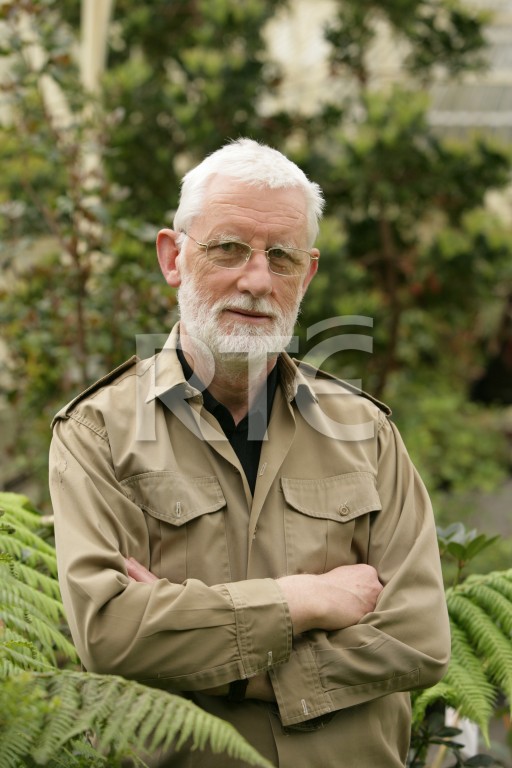 Photographic Archive - RTÉ Archives