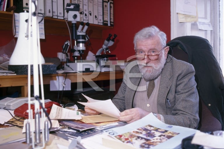 Photographic Archive - RTÉ Archives