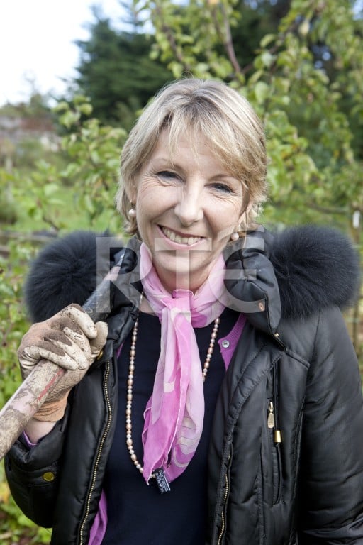 Photographic Archive - RTÉ Archives